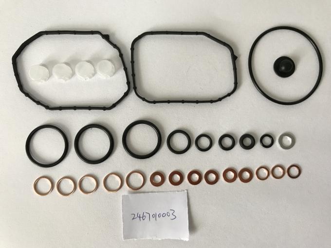 2467010003 Common Rail Fuel Injection Pump Repair Kit 800368